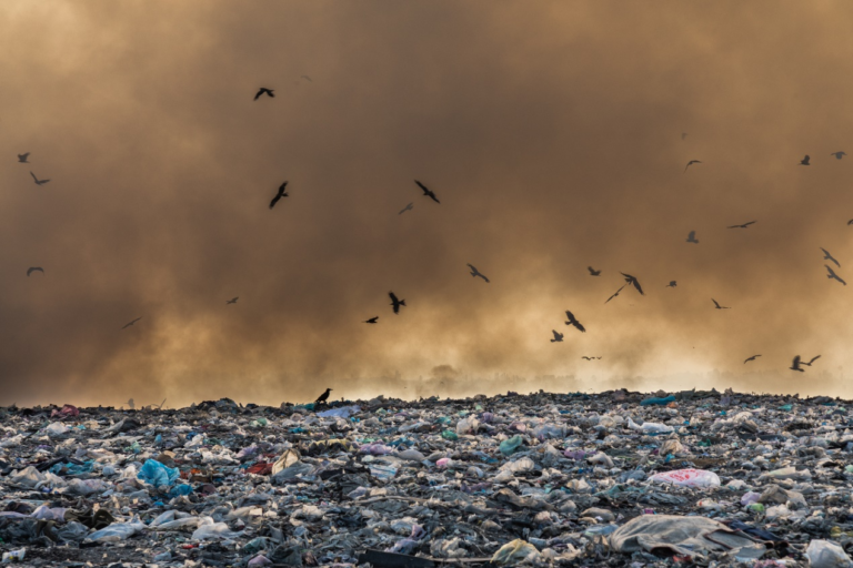 Impacts of Climate Change - Biodiversity Loss and Ecosystem Disruption ...