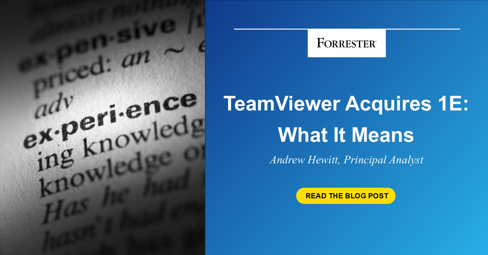 TeamViewer Acquires 1E: What It Means - Starthub Asia